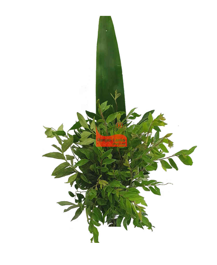 Ranjan Lanka Online Store