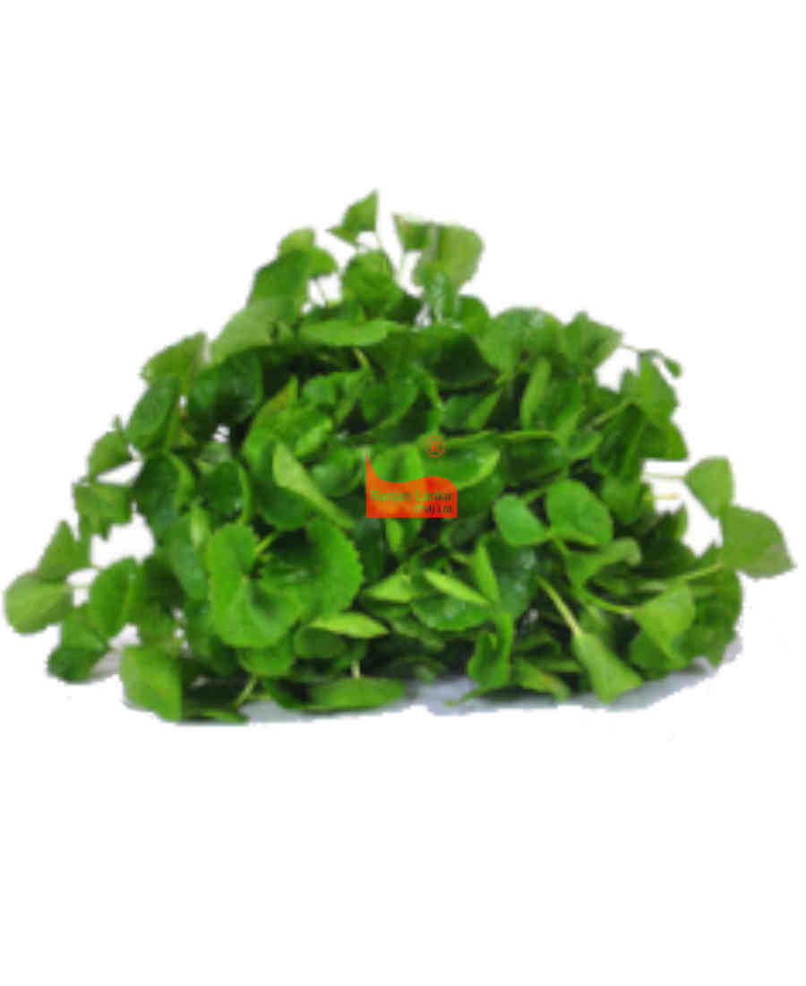 Ranjan Lanka Online Store